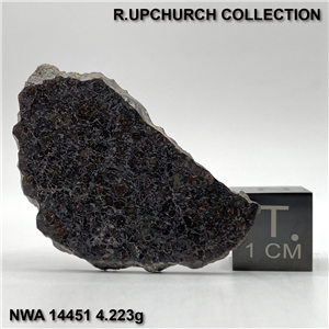 Northwest Africa 14451 (Ureilite) - EoM