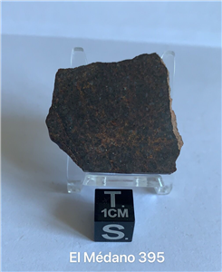 El Médano 395 (Brachinite) - EoM