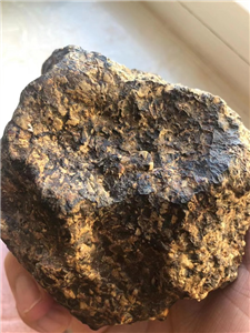 Northwest Africa 15309 (Eucrite-unbr) - EoM