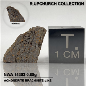 Northwest Africa 15303 (Achondrite (brachinite-like)) - EoM
