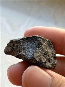 Fendi 001 (Angrite) - EoM