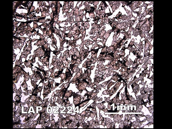 LaPaz Icefield 02224 (Lunar (basalt)) - EoM